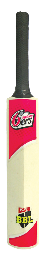 Cricket Accessories Official Team Merchandise – The Official Cricket Shop